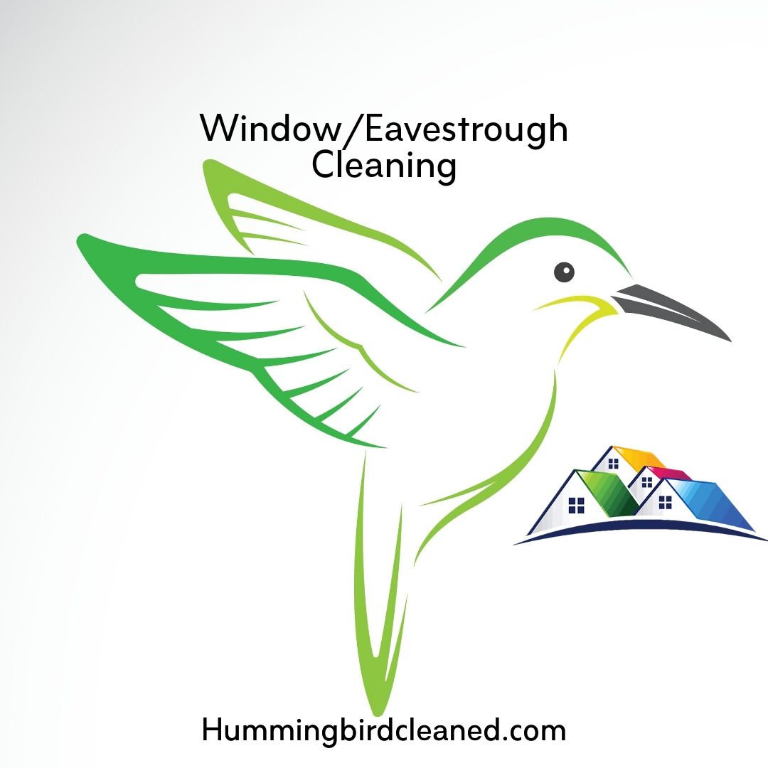 hummingbird window cleaning